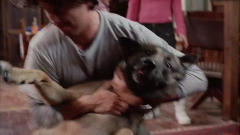 The Breed (2006) - Black Horror Movies