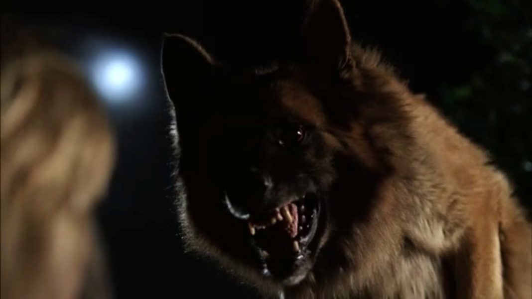 The Breed (2006) - Black Horror Movies