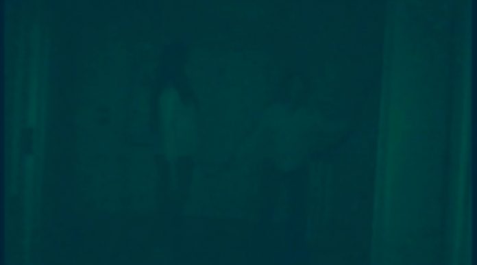 The Final Project (2016) - Black Horror Movies