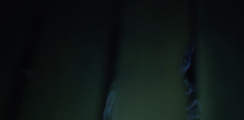 The Recall (2017) - Black Horror Movies